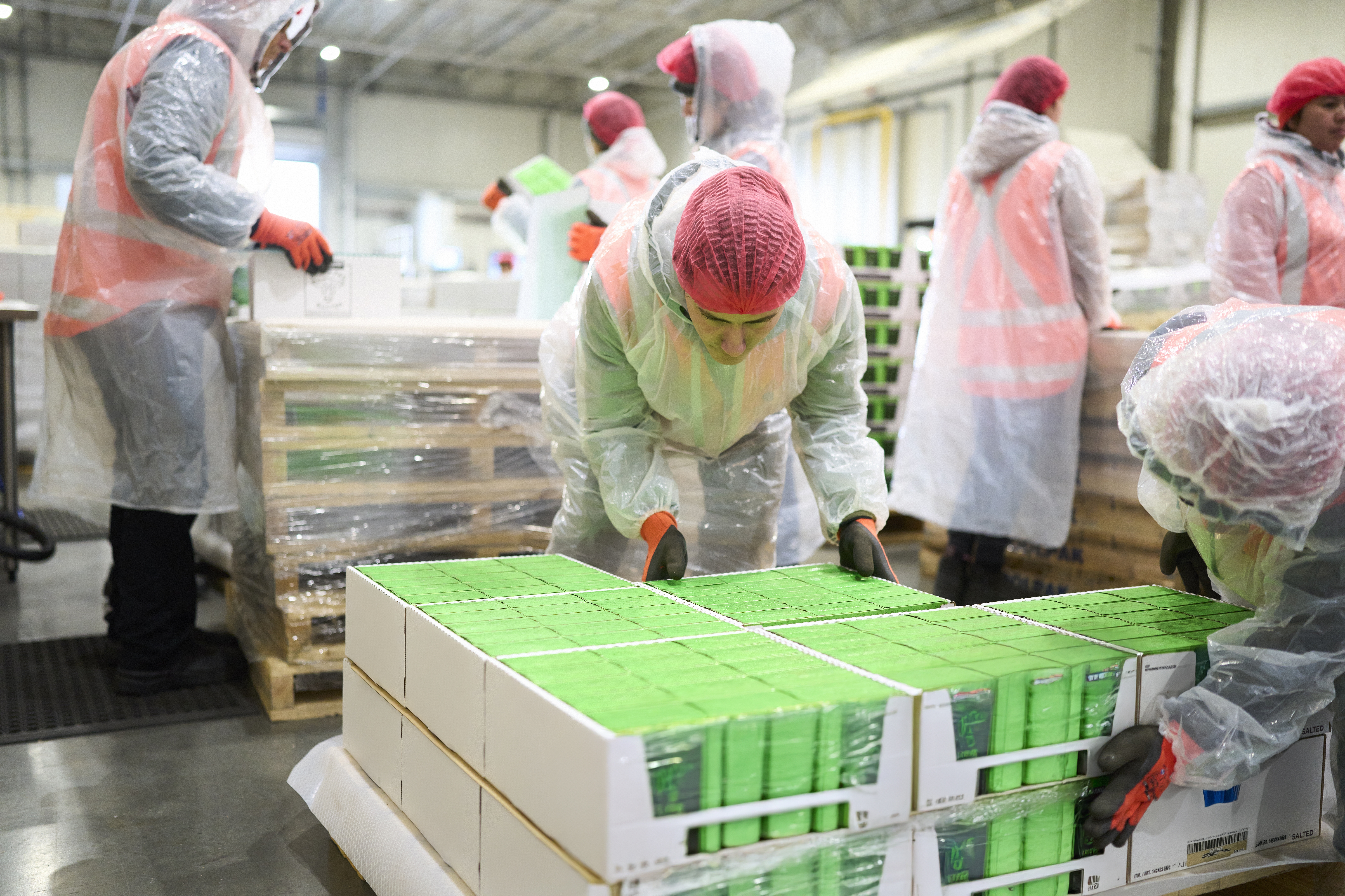 Cold Chain Solutions & Logistics | Coolpak Refrigerated… | Coolpak